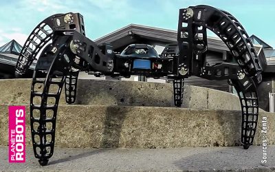 Hexapode président ! - Planète Robots