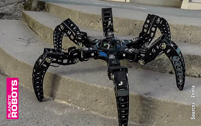Hexapode président ! - Planète Robots