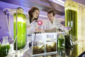 Les Gastrobots ou les robots gastronomes - Planète Robots