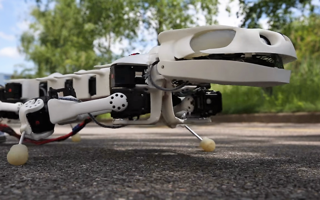 Pleurobot, un robot salamandre permet d’étudier l’évolution de la ...