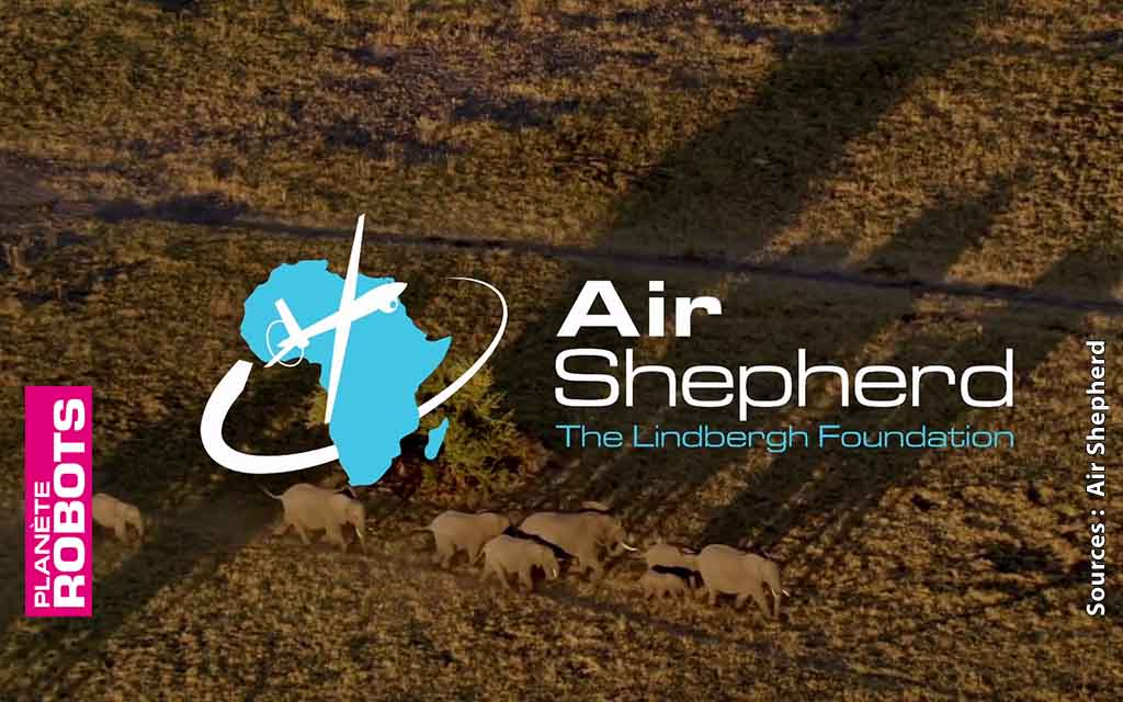 Des drones pour sauver les éléphants ! | Planète Robots