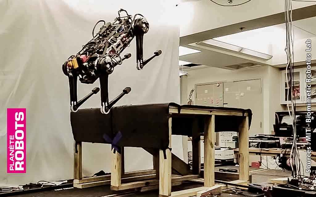 Cheetah 3 un robot quadrupède aveugle mais agile | Planète Robots